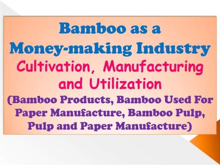 Bamboo Industry: Cultivation, Products & Paper Manufacturing
