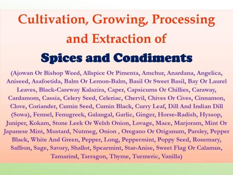 Spices & Condiments: Cultivation, Processing & Extraction