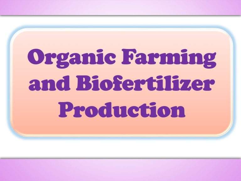 Organic Farming & Biofertilizer Production Business