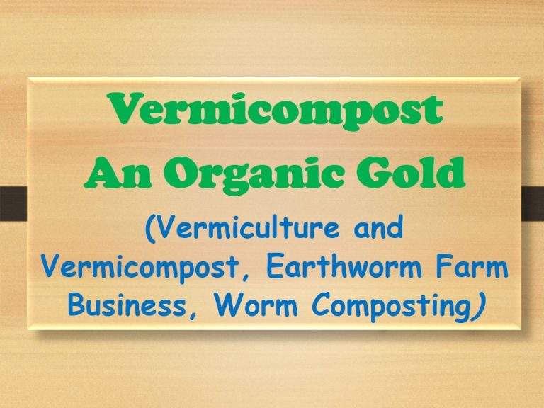 Vermicompost: Organic Gold | Earthworm Farming Business