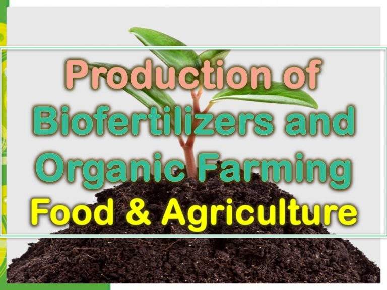 Biofertilizer Production & Organic Farming | Agriculture Guide