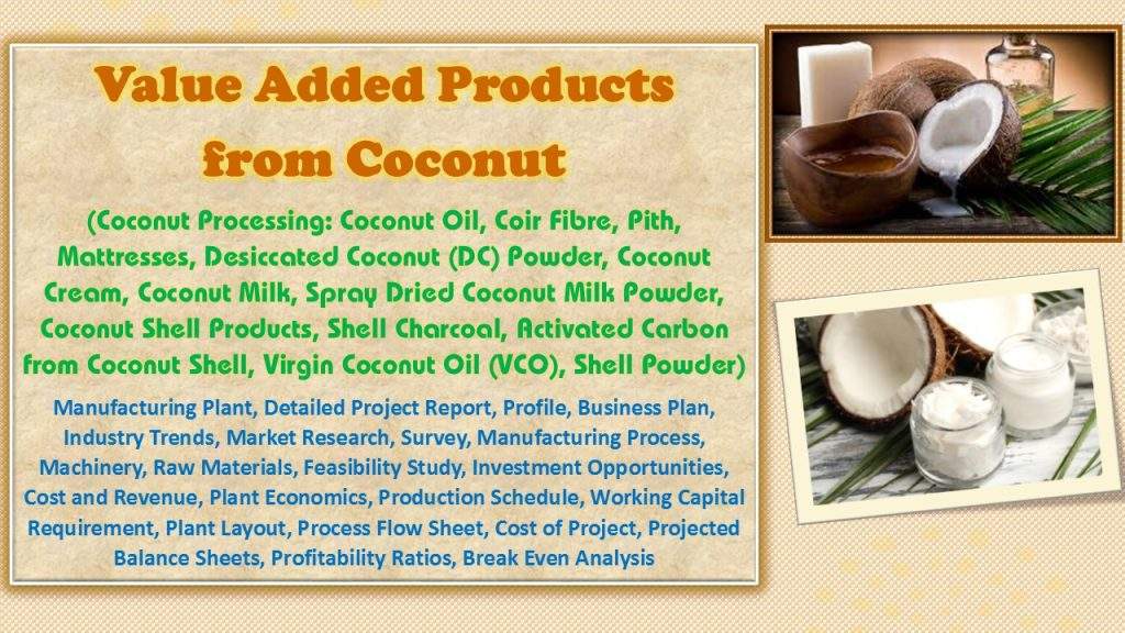 How to Start a Coconut Processing Unit | Profitable Products List