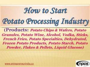 How to Start a Profitable Potato Processing Business