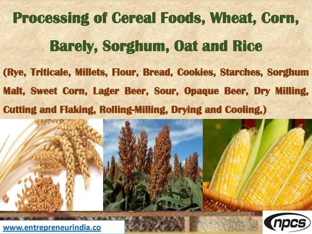 Processing of Cereal Foods, Wheat, Corn, Barely, Sorghum, Oat and Rice ...