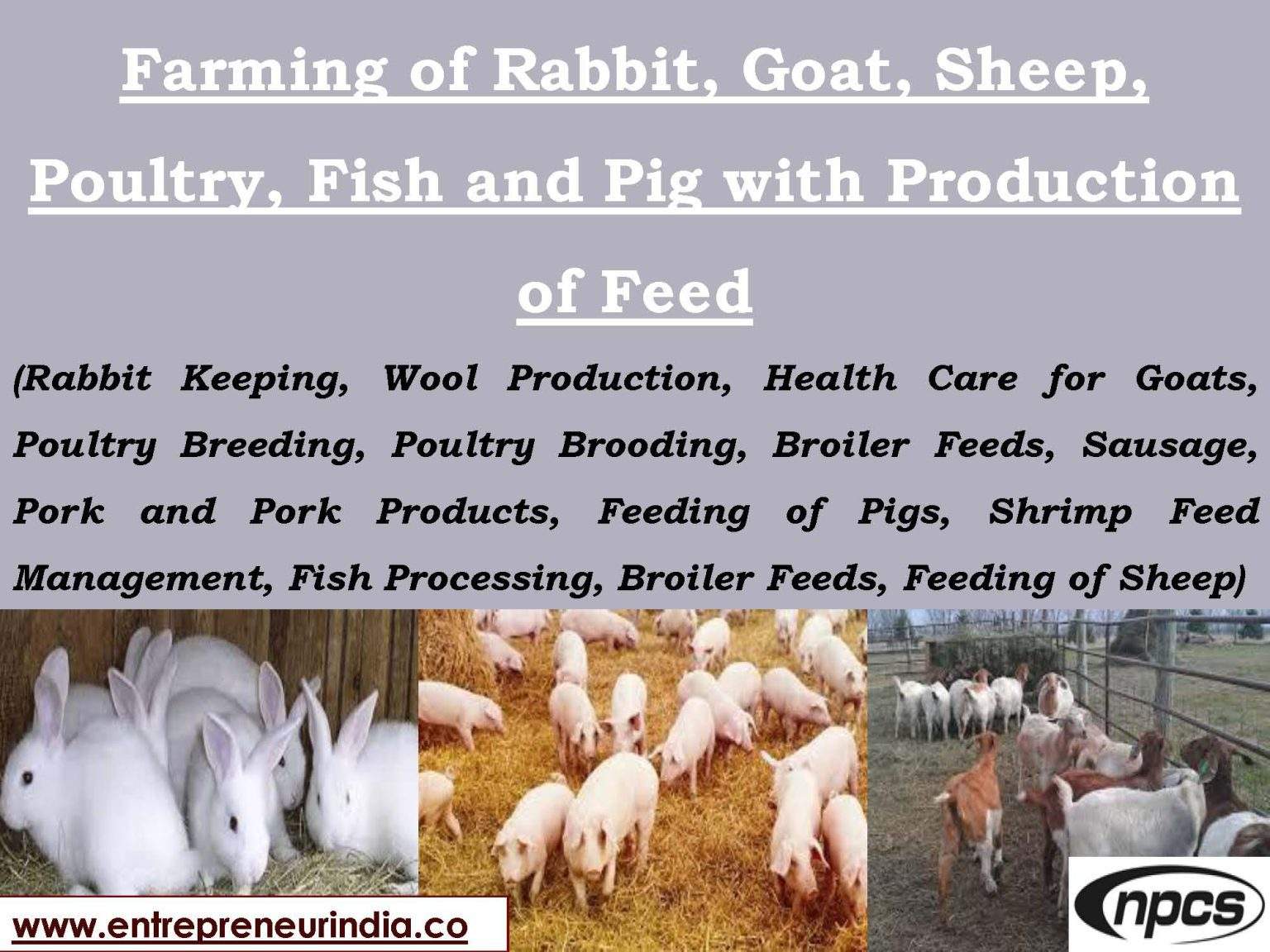 Animal Farming & Feed Production | Goat to Poultry Care