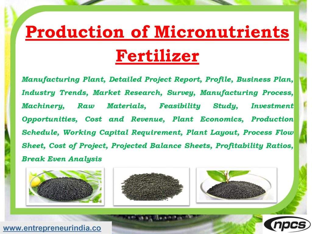 Micronutrient Fertilizer Plant | Setup & DPR Guide