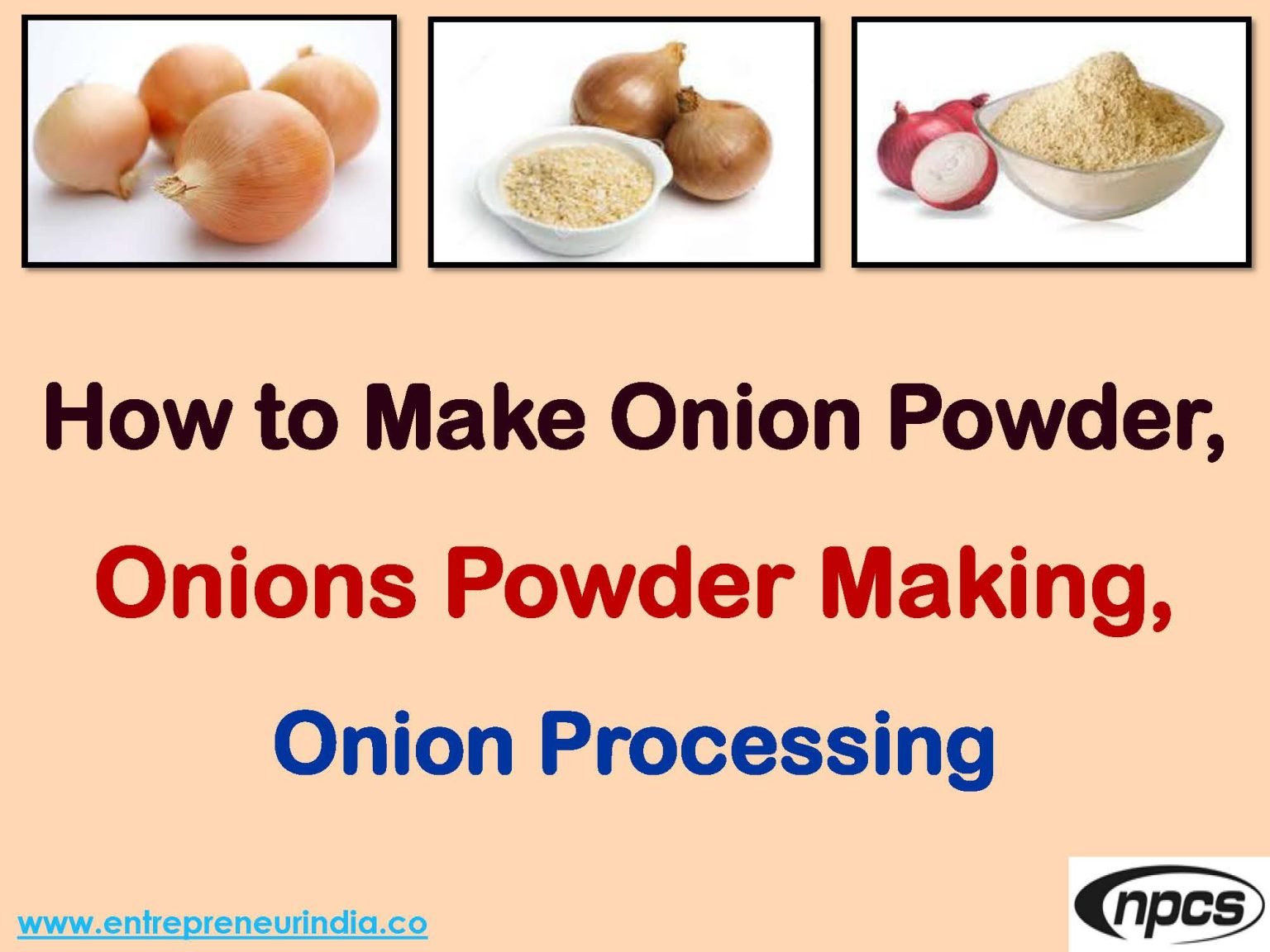 How to Make Onion Powder, Onions Powder Making, Onion Processing - Niir ...