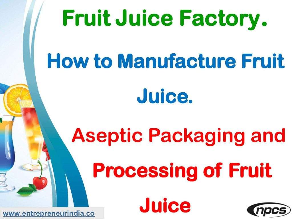 How to Manufacture Fruit Juice – Step-by-Step Guide