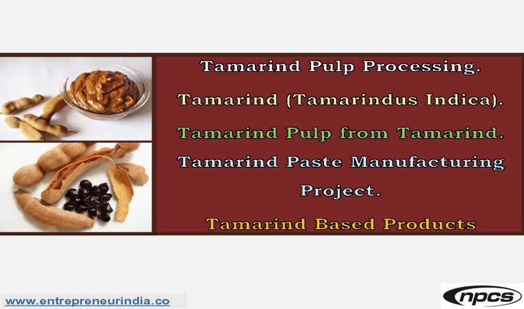 Tamarind Pulp Processing. Tamarind (Tamarindus Indica). Tamarind Pulp ...