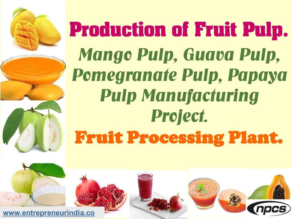 Production of Fruit Pulp. Mango Pulp, Guava Pulp, Pomegranate Pulp ...