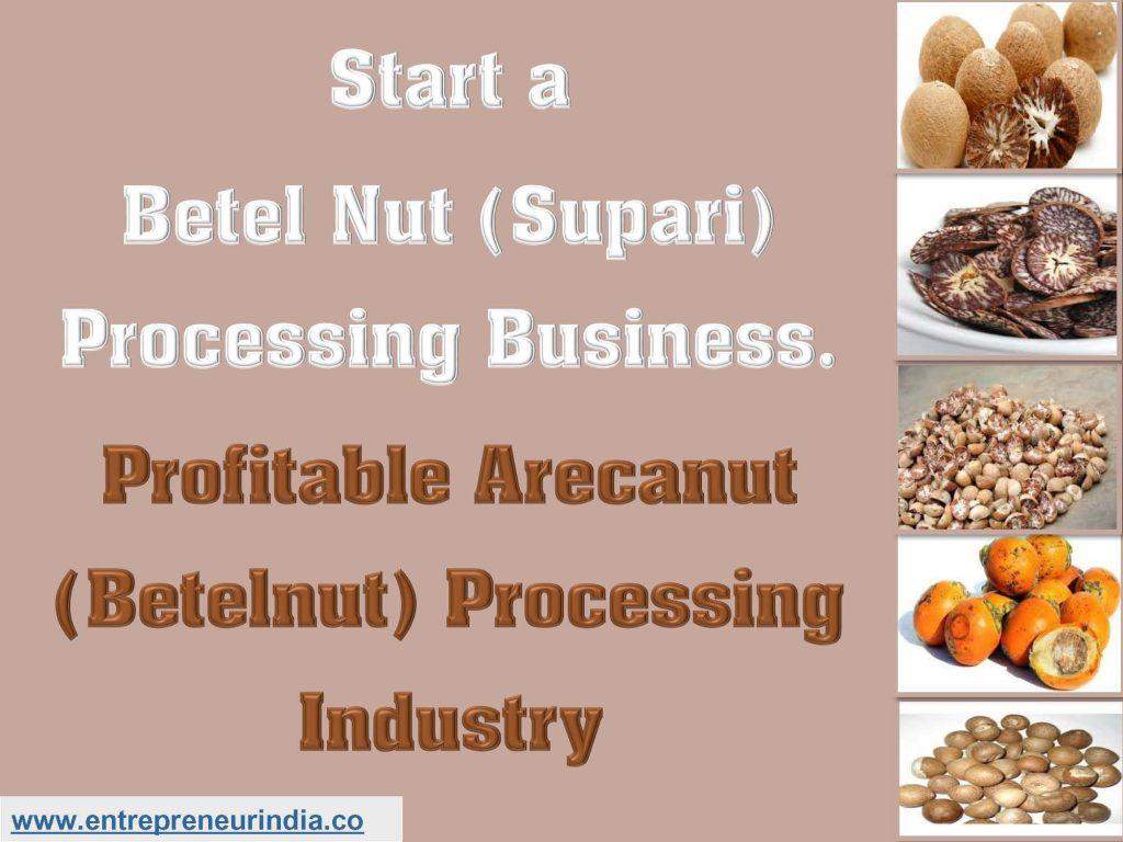 Start a Betel Nut Processing Business in 2025
