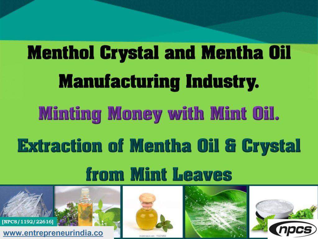 Mentha Oil Manufacturing Industry Guide
