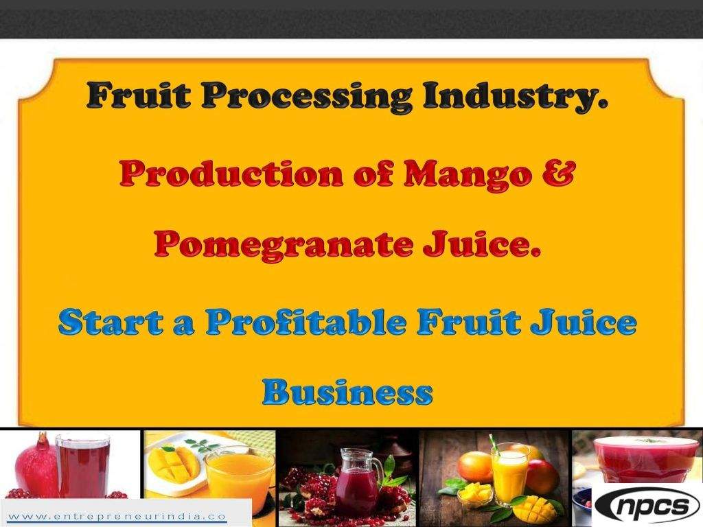Fruit Processing Industry. Production of Mango & Pomegranate Juice ...