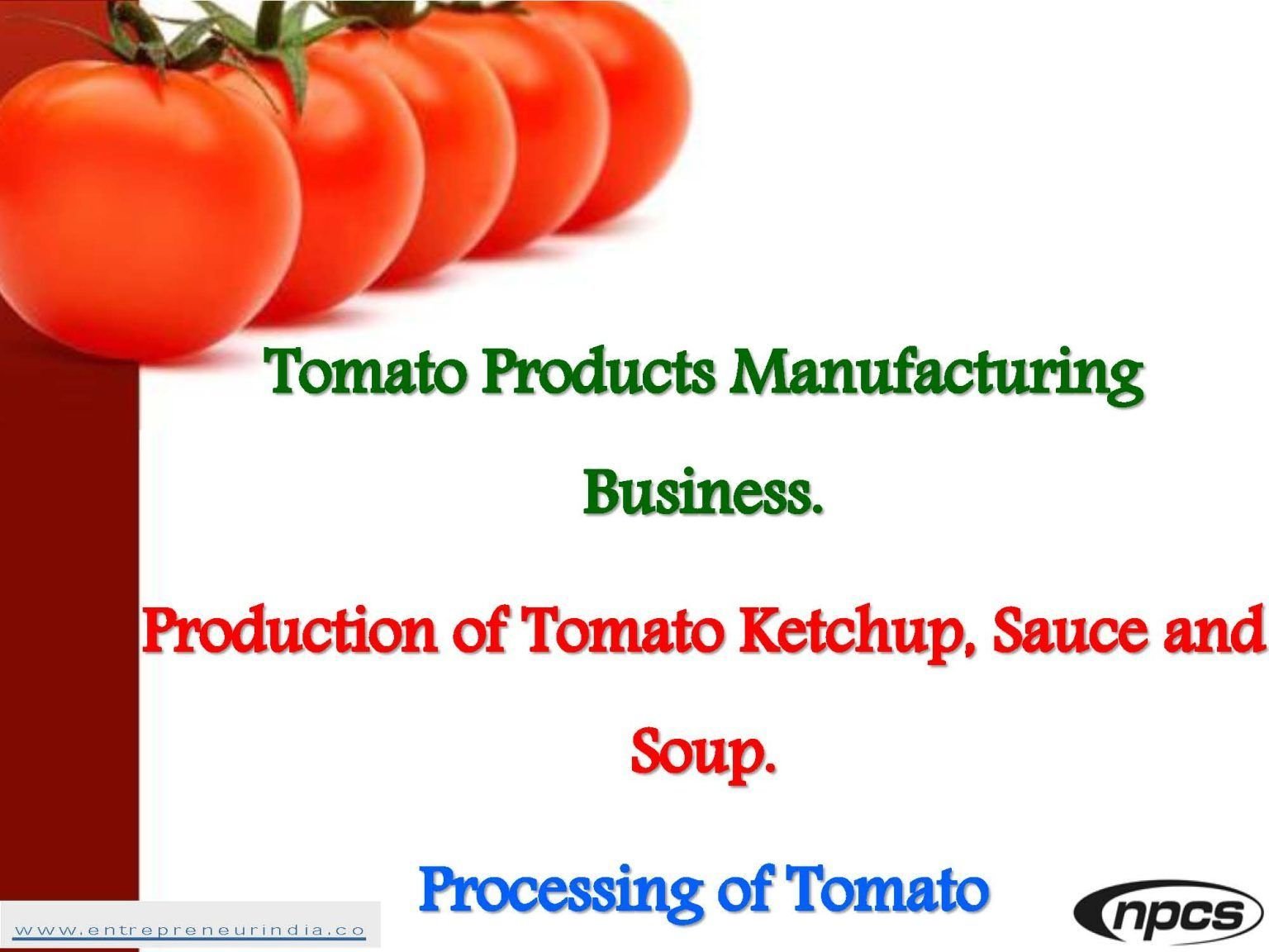 Start Tomato Products Manufacturing Business