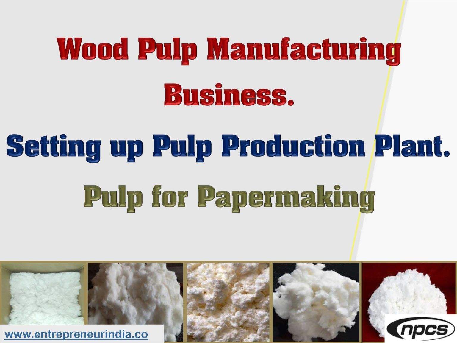 Profitable Wood Pulp Manufacturing Business
