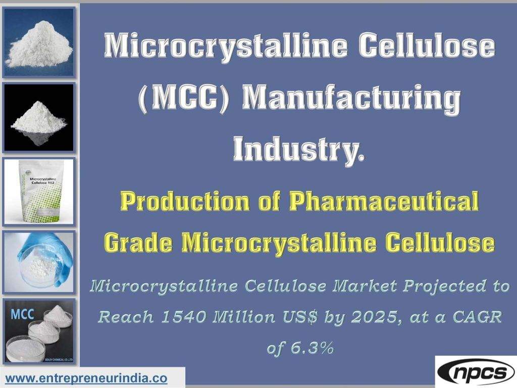 Start Microcrystalline Cellulose (MCC) Manufacturing Industry